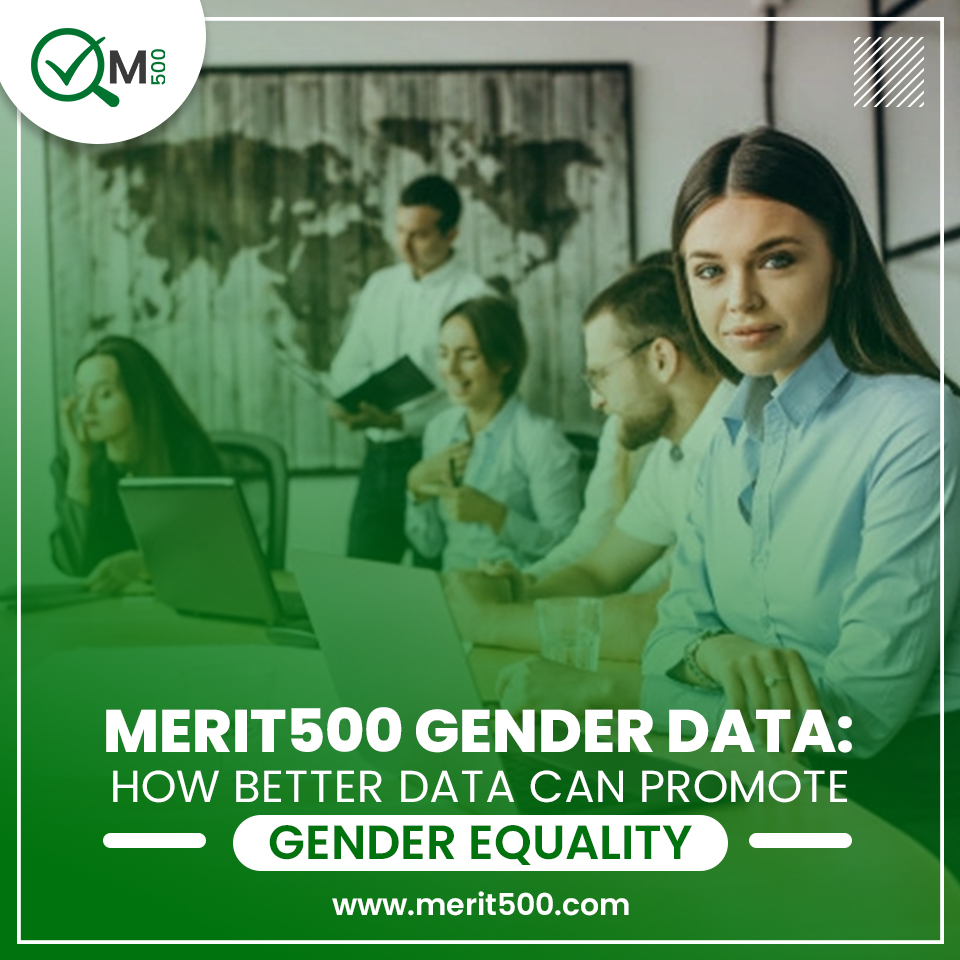 MERIT500 Gender Data: How Better Data Can Promote Gender Equality ...
